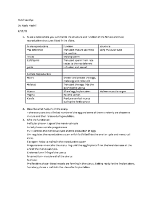 Medical Terminology - study notes - CHAPTER 1 Aden/oma- tumor of a ...