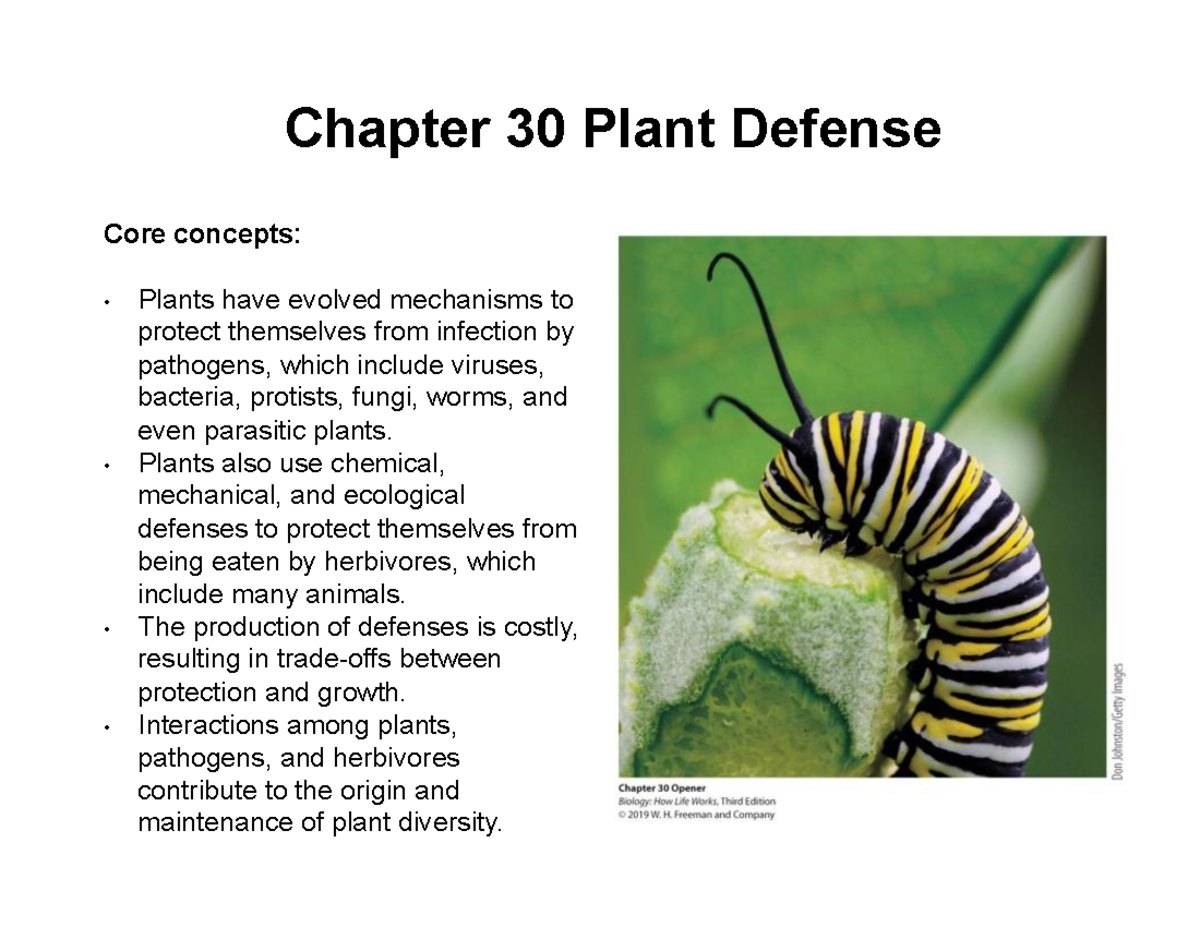 Gen+Bio+II+Lecture+Note+Set+17 - Chapter 30 Plant Defense Core concepts ...