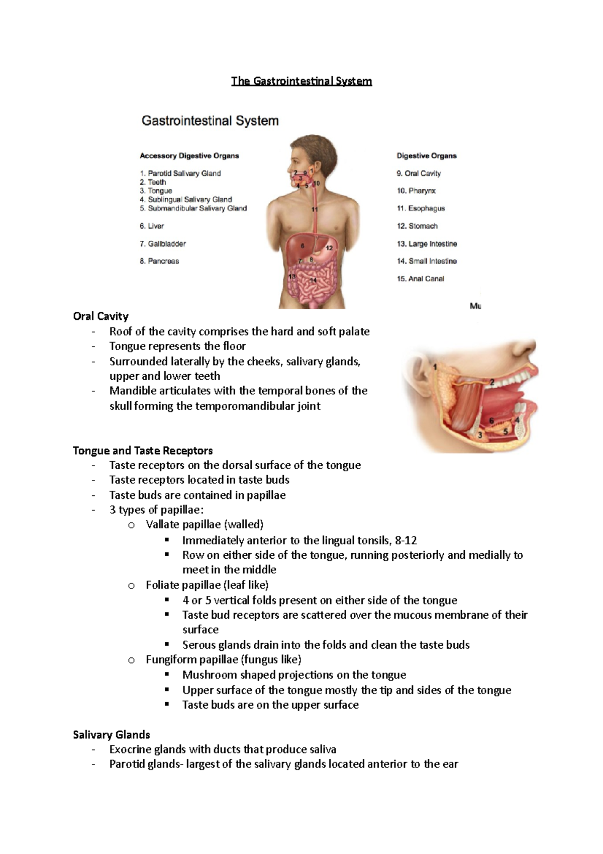 The Gastrointestinal System - Studocu