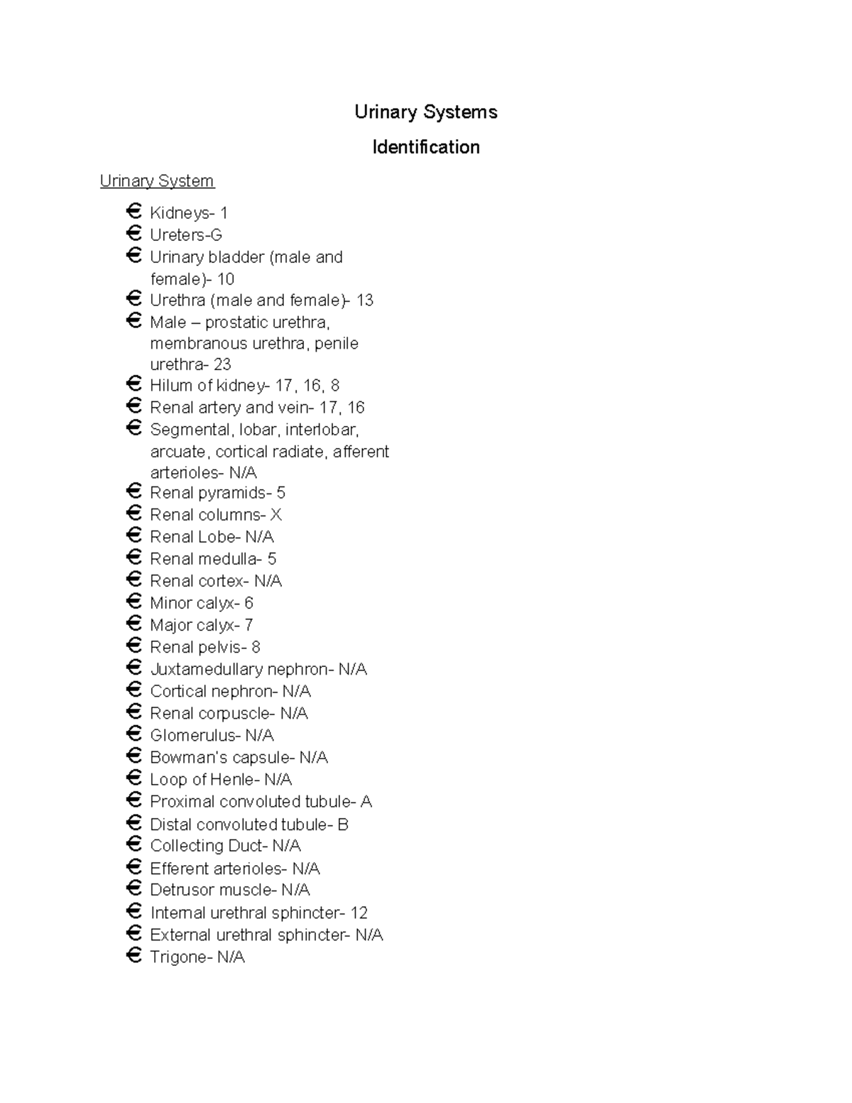 ANATOMY AND PHYSIOLOGY URINARY SYSTEM LAB DOCUMENT - Urinary Systems ...