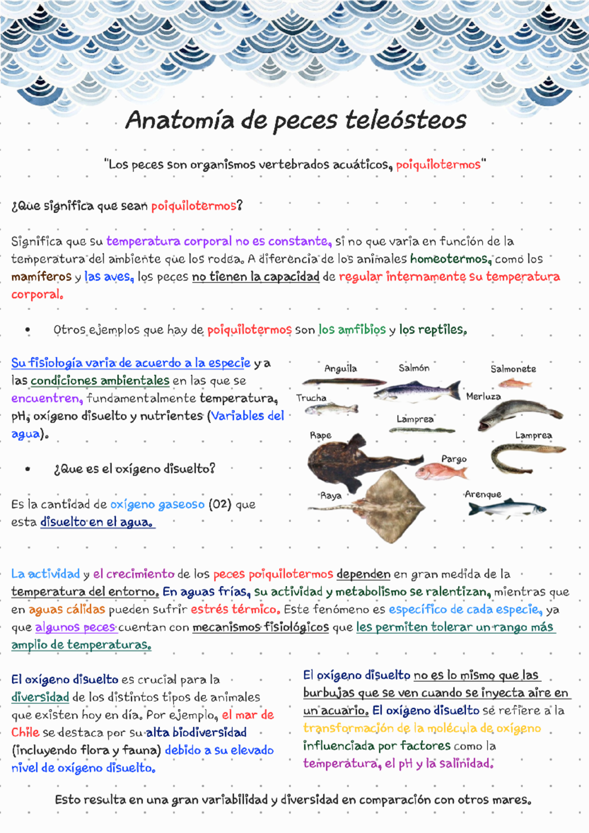 Peces CA II - Anatomía de peces teleósteos peces son organismos ...