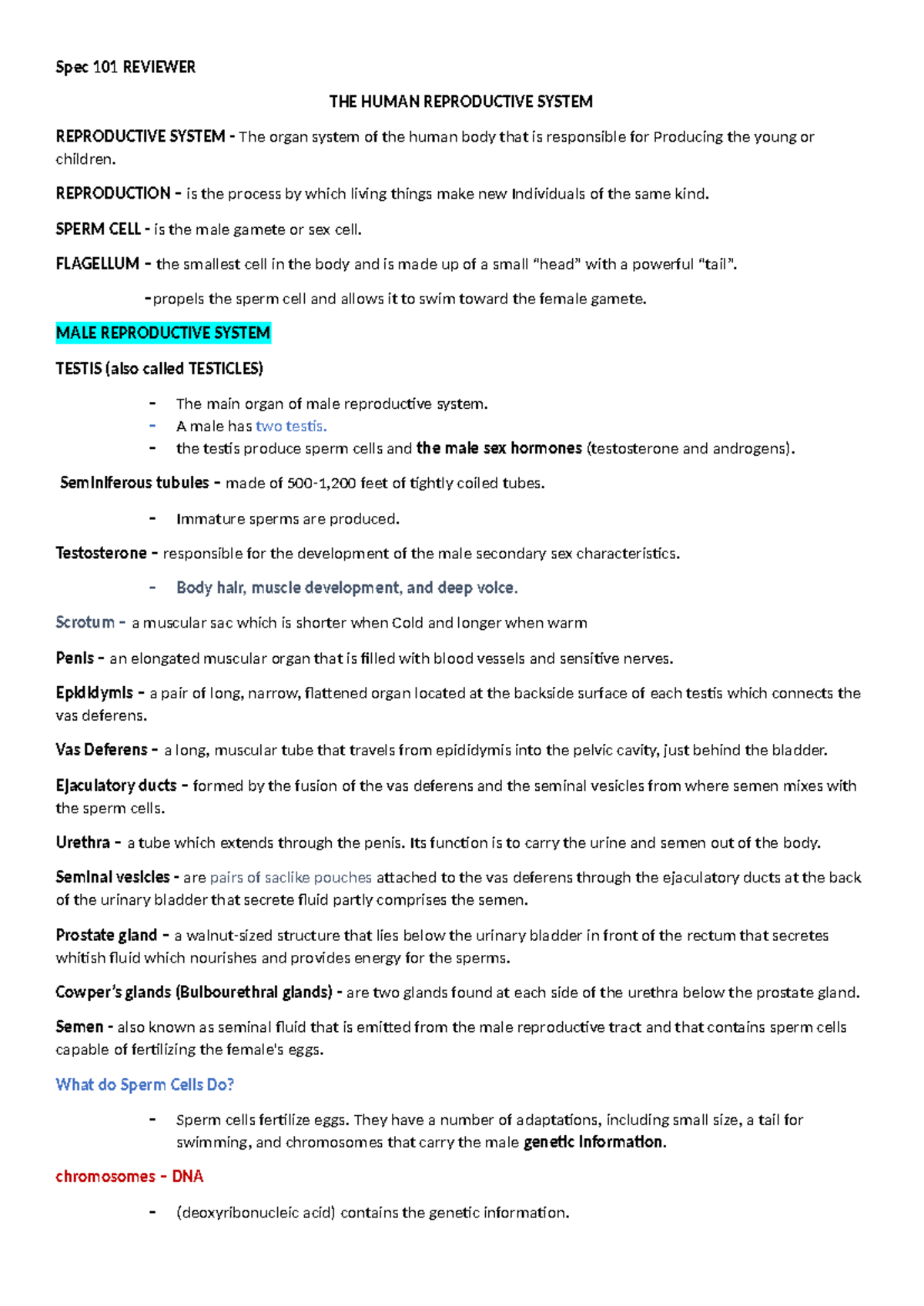 HRS Reviewer - Spec 101 REVIEWER THE HUMAN REPRODUCTIVE SYSTEM ...