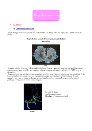III - Oviviparité et viviparité - BIOLOGIE DE LA REPRODUCTION ET DU ...