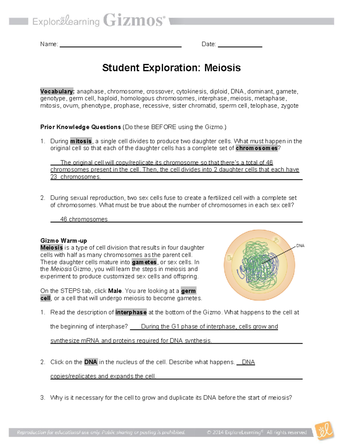 Meiosis SE - Vocabulary: anaphase, chromosome, crossover, cytokinesis ...
