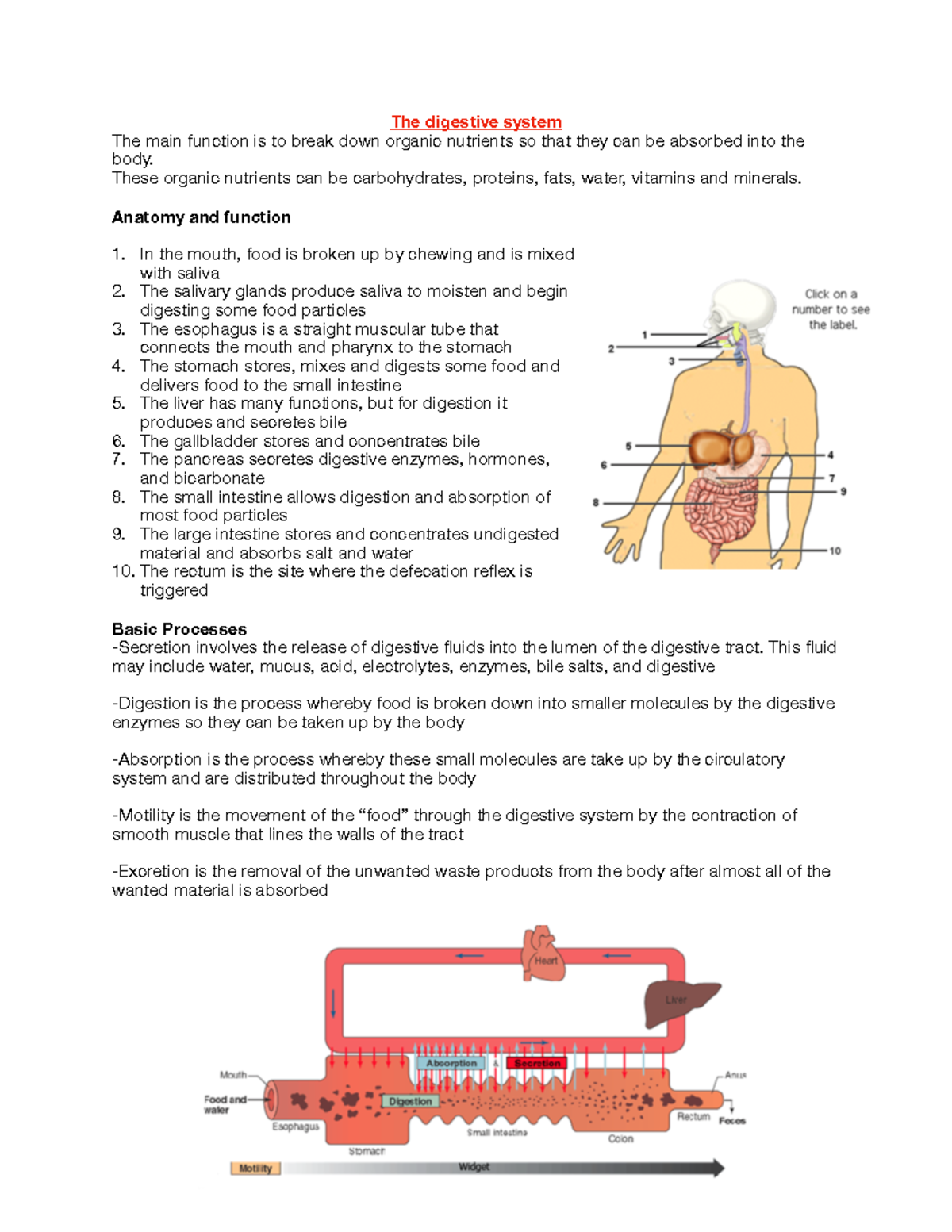 Chapter 15 Physiology 2130 - PHYS 2130 - UWO - Studocu