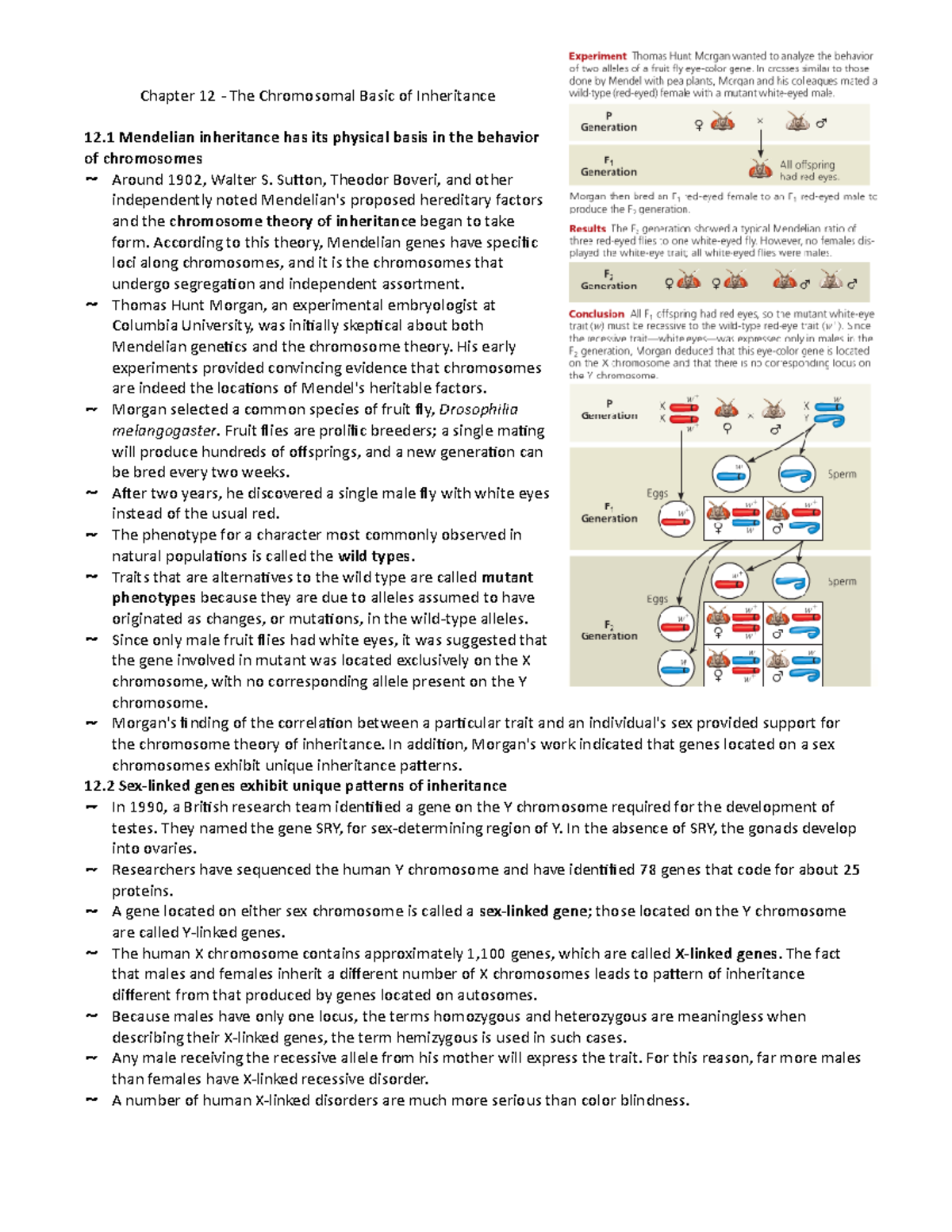 Chapter 12 - The Chromosomal Basic of Inheritance - Chapter 12 - The ...