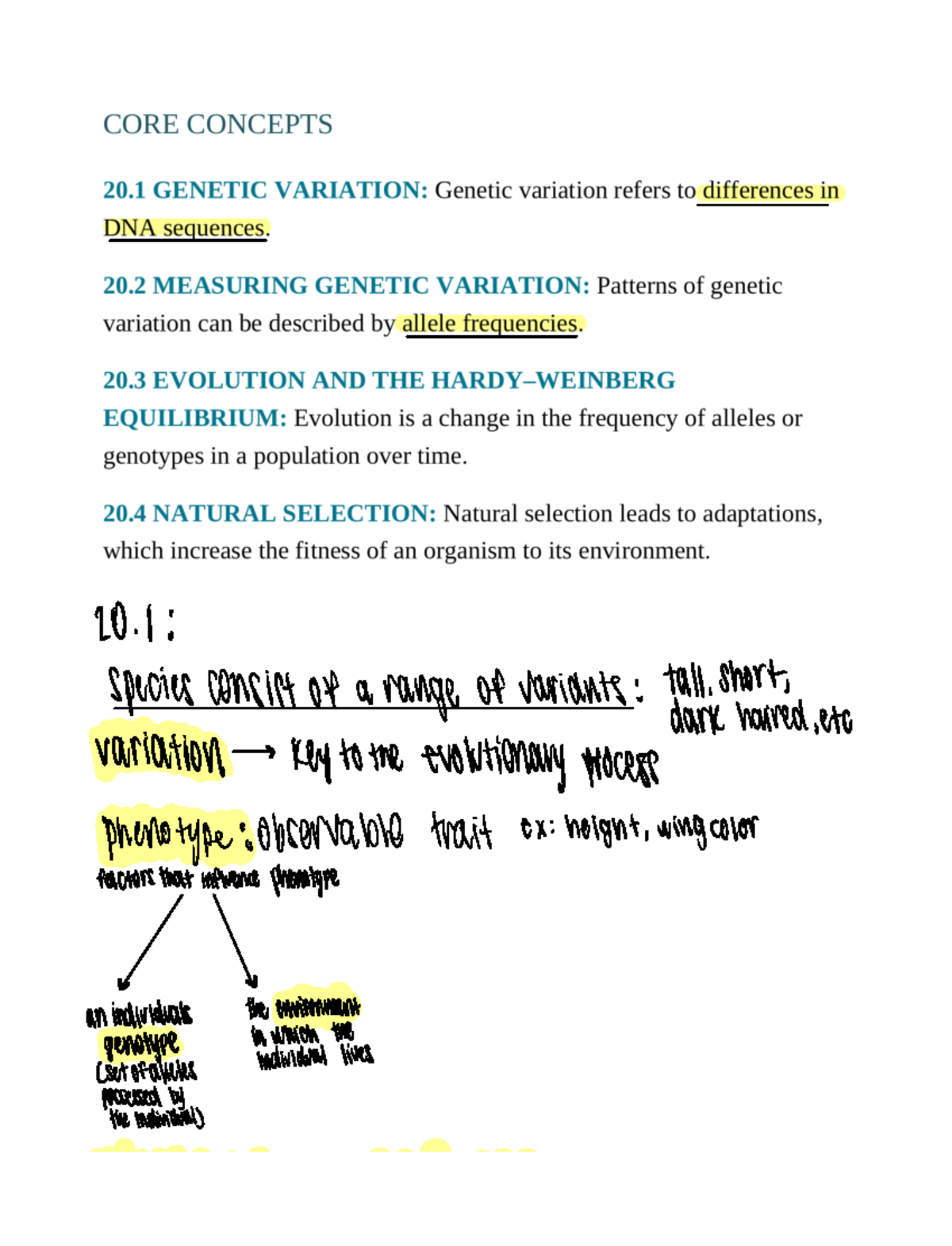 Chapter 20 Notes - Biology: How Life Works - species consist of a range ...