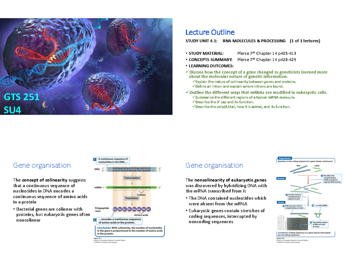 GTS SU 4 - genetics class notes - GTS 251 SU Lecture Outline STUDY UNIT ...