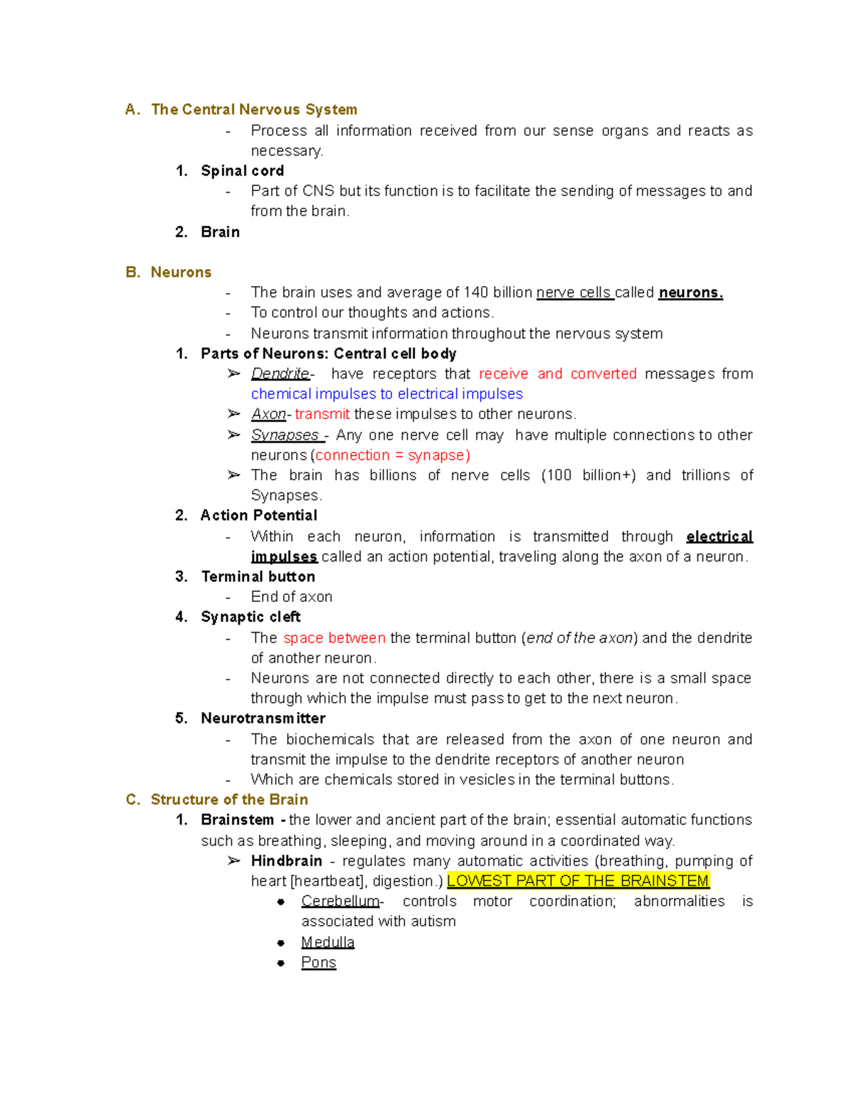 Summary of Central Nervous System - A. The Central Nervous System ...