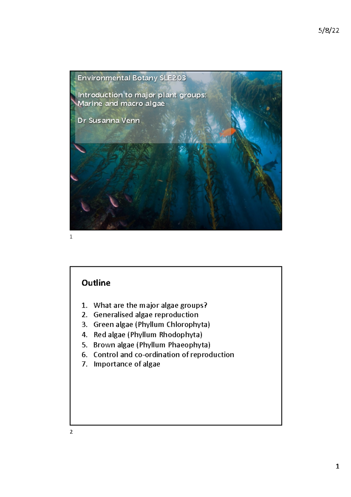 Marine and macro algae - lecture slides for SLE203 - Environmental Botany SLE Introduction to ...