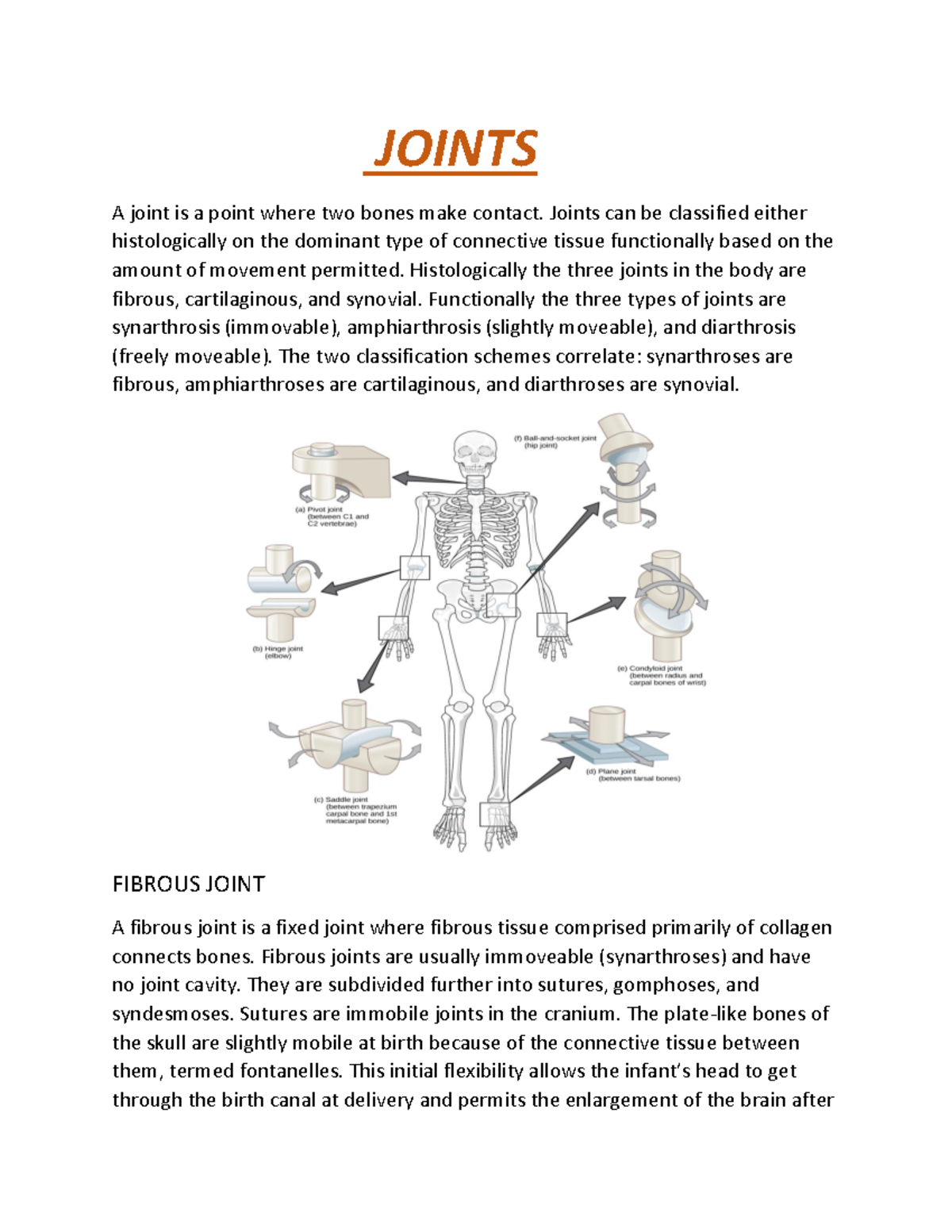 Joints - JOINTS A joint is a point where two bones make contact. Joints ...