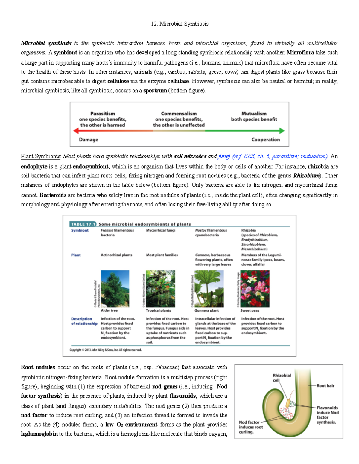 BIO 315 Microbial Symbiosis Summary - Microbial Symbiosis Microbial ...