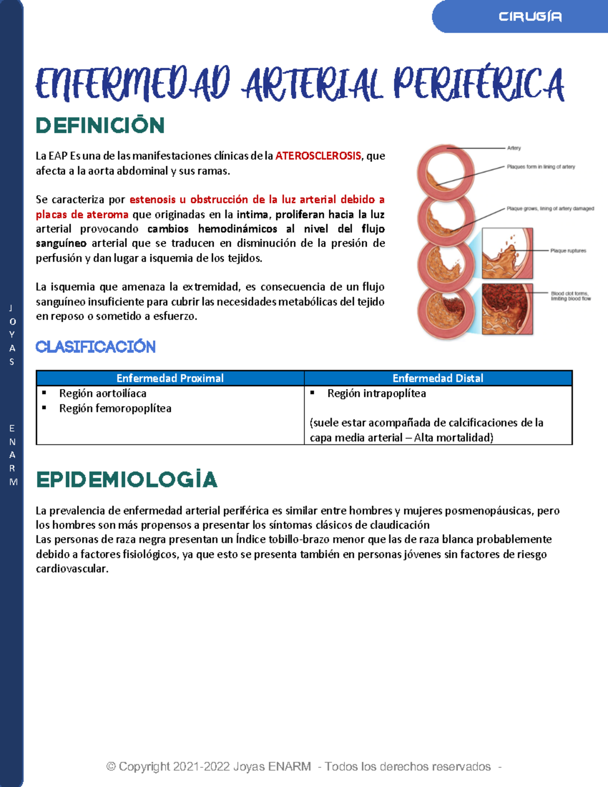 13. Enfermedad Arterial Periférica - J O Y A S E N A R M ENFERMEDAD ...