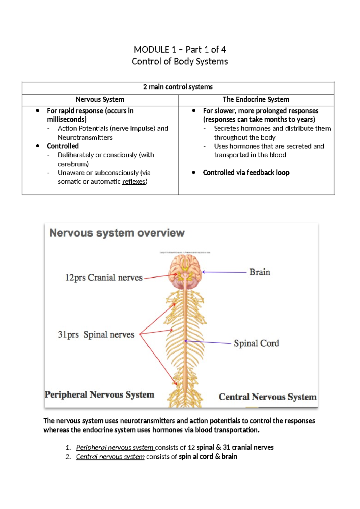 Module 1 Endocrine - MODULE 1 – Part 1 of 4 Control of Body Systems 2 ...
