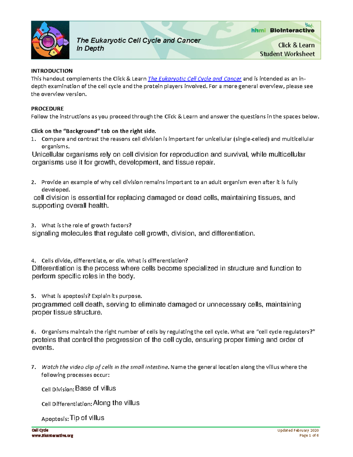 Cell Cycle In Depth-Student WS-CL - Click & Learn Student Worksheet The ...