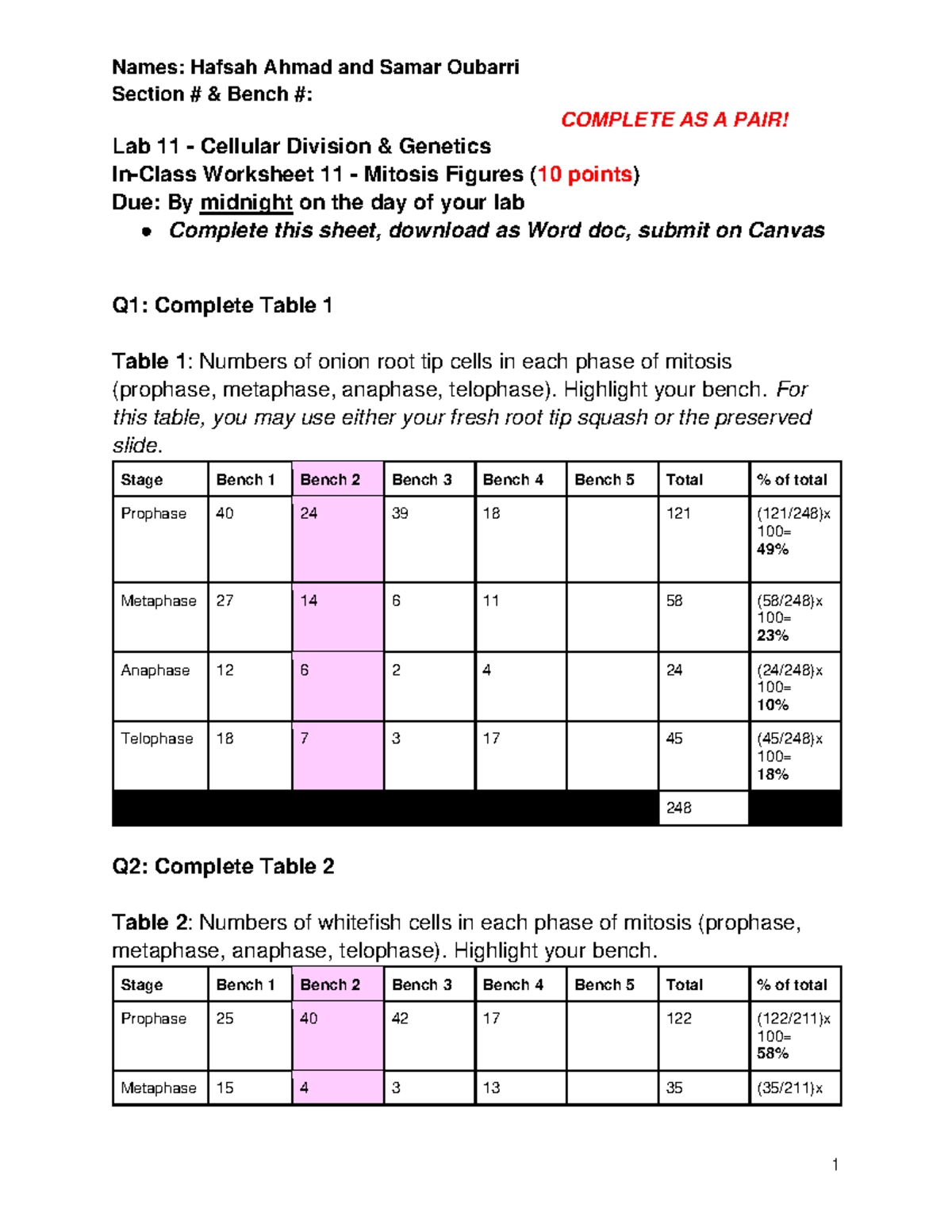 In-Class Worksheet 11 - Mitosis Figures - Section # & Bench #: COMPLETE AS A PAIR! Lab 11 ...