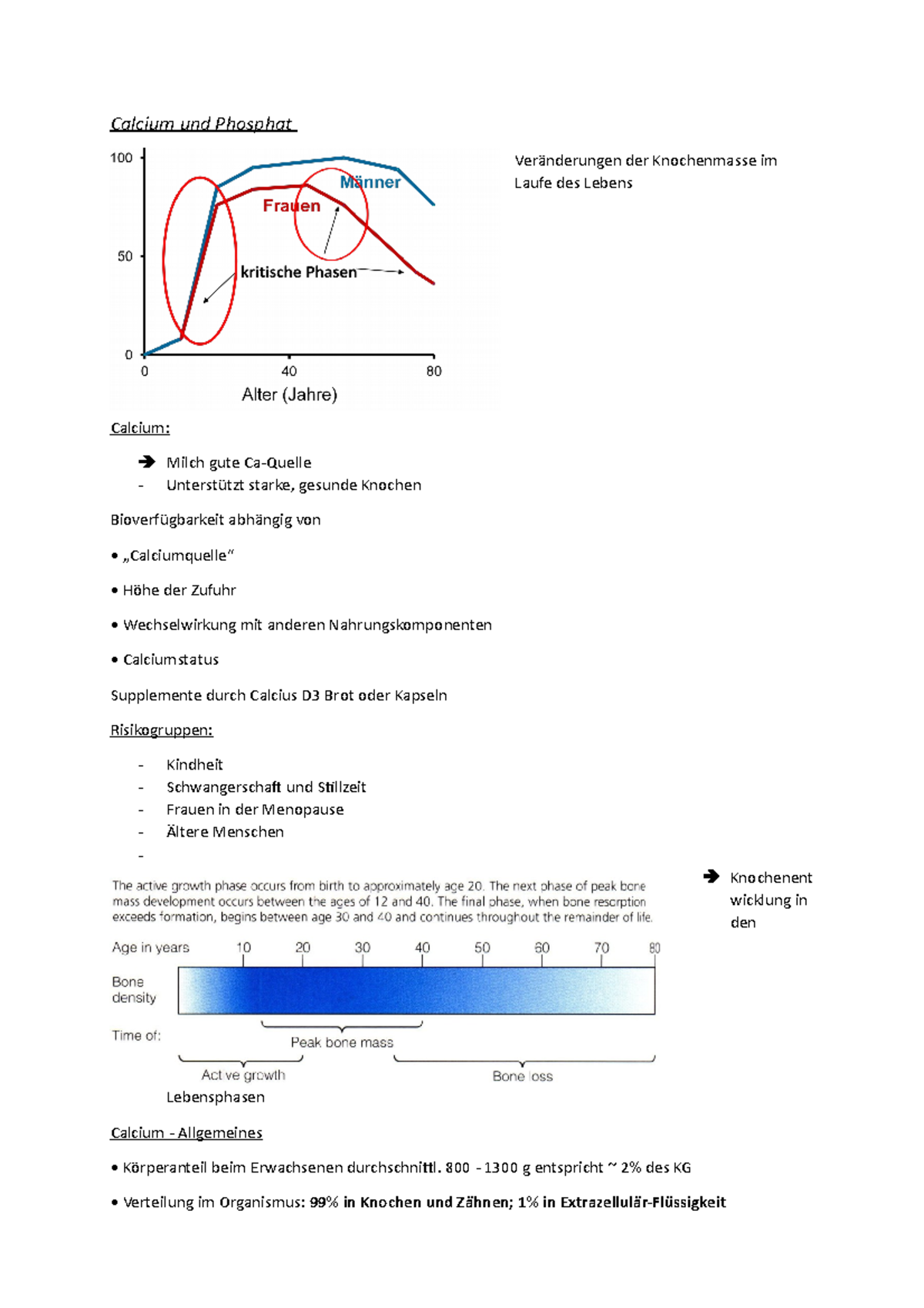 Ernährung des Menschen Calcium und Phosphat - Calcium und Phosphat ...