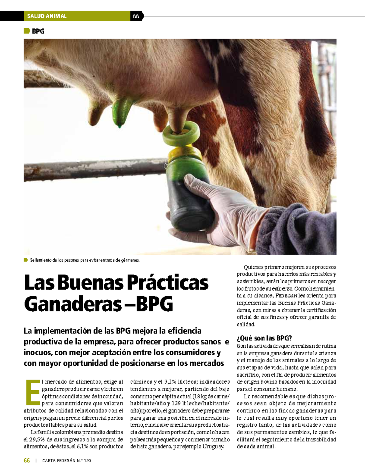 BPG Victor - nsnznznz - SALUD ANIMAL 66 66 | CarTa fEDEgÁN N.° 120 Las ...