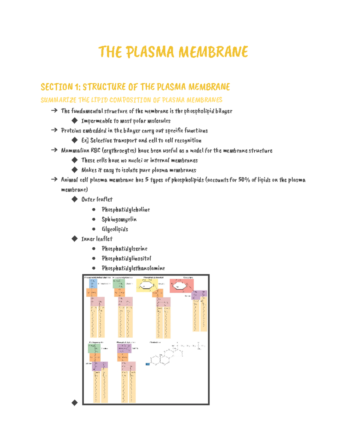 Chapter 15 - The Plasma Membrane - TĄE ÿL󰁝ëăë MEĄåR󰁝Ăå SEâäĂÿN 1 ...