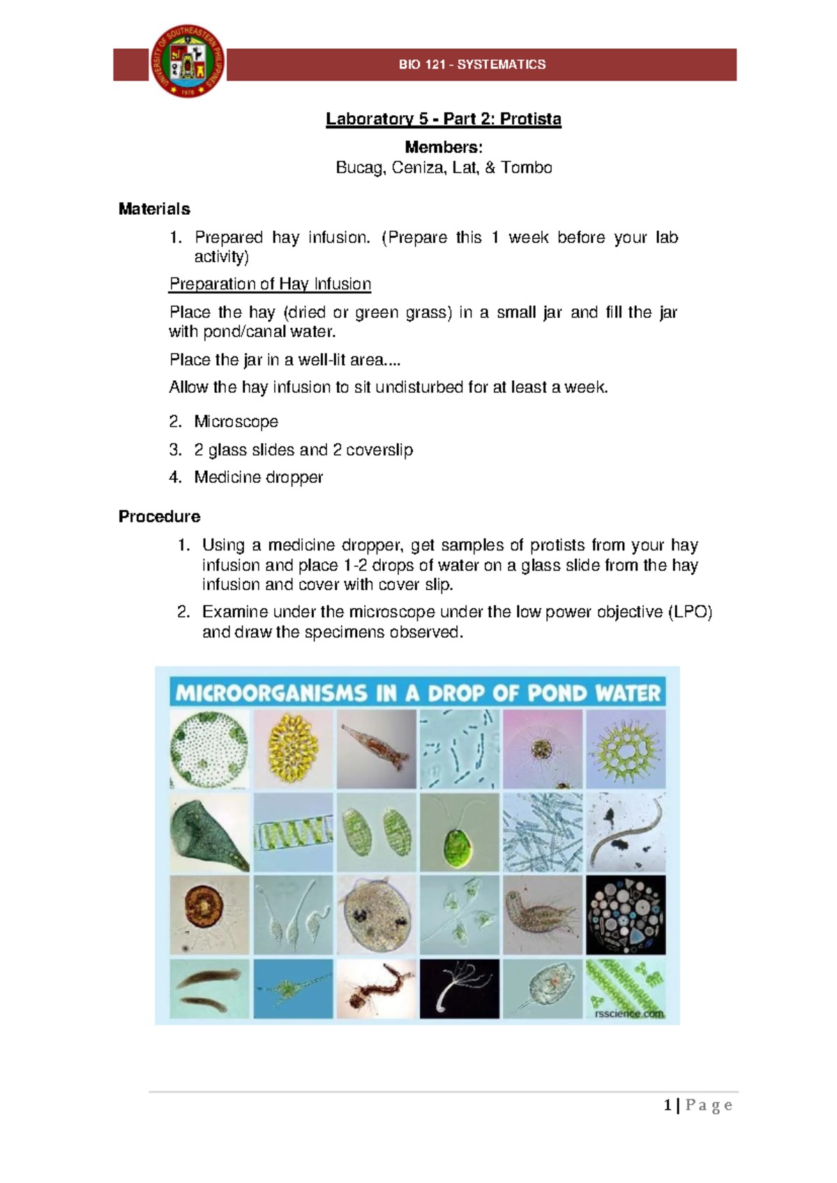 Bucagcenizalattombo BIO-121-M2L5-PART-2- Protista 12e502d1be15a1b0e53ab6cd6b7164bc - Laboratory ...
