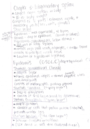 Lower Appendage Bones - Pelvic girdle, femur, tibia, fibula, patella ...