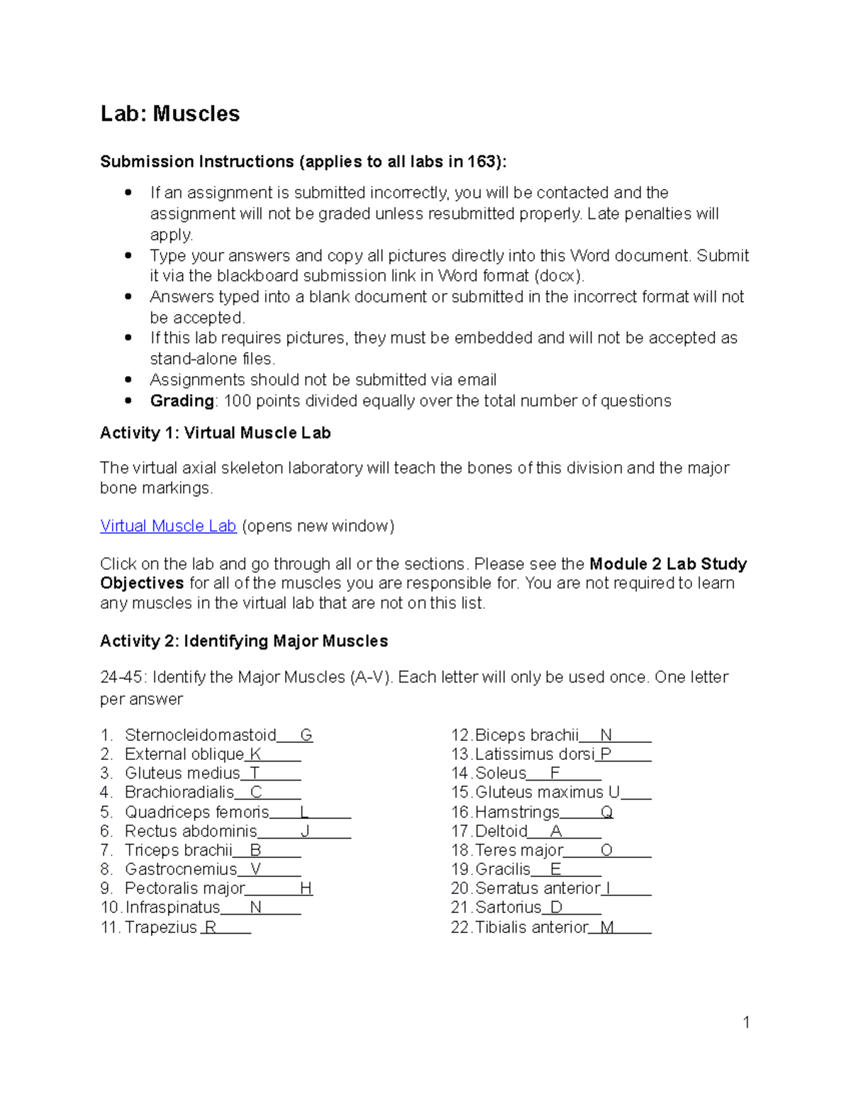 Lab Mus163 - lab from beginning of the year - Lab: Muscles Submission ...