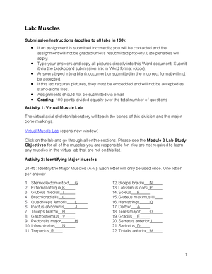 Lab Basics Cell(2) - homework - Lab: A&P Basics and Cells Grading: Divide number incorrect by ...