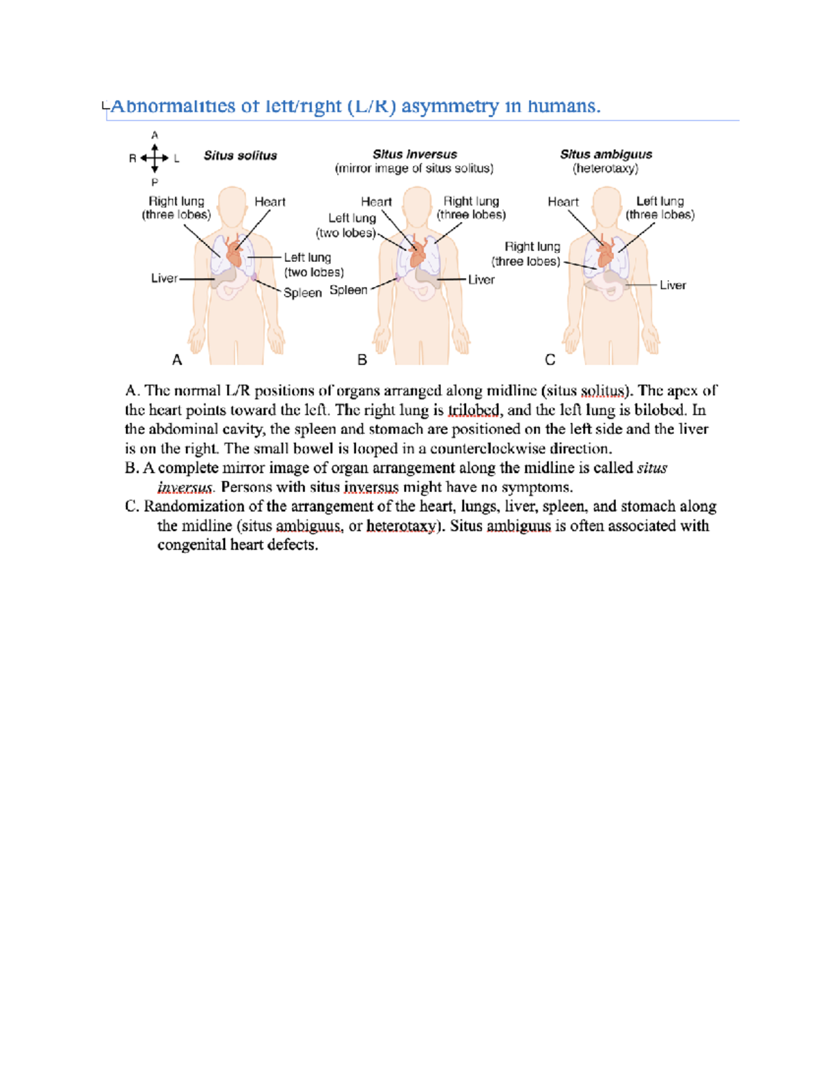 Med Gen Powerpoint 8 Developmental Genetics Part 9 - BSC 4930 - Studocu