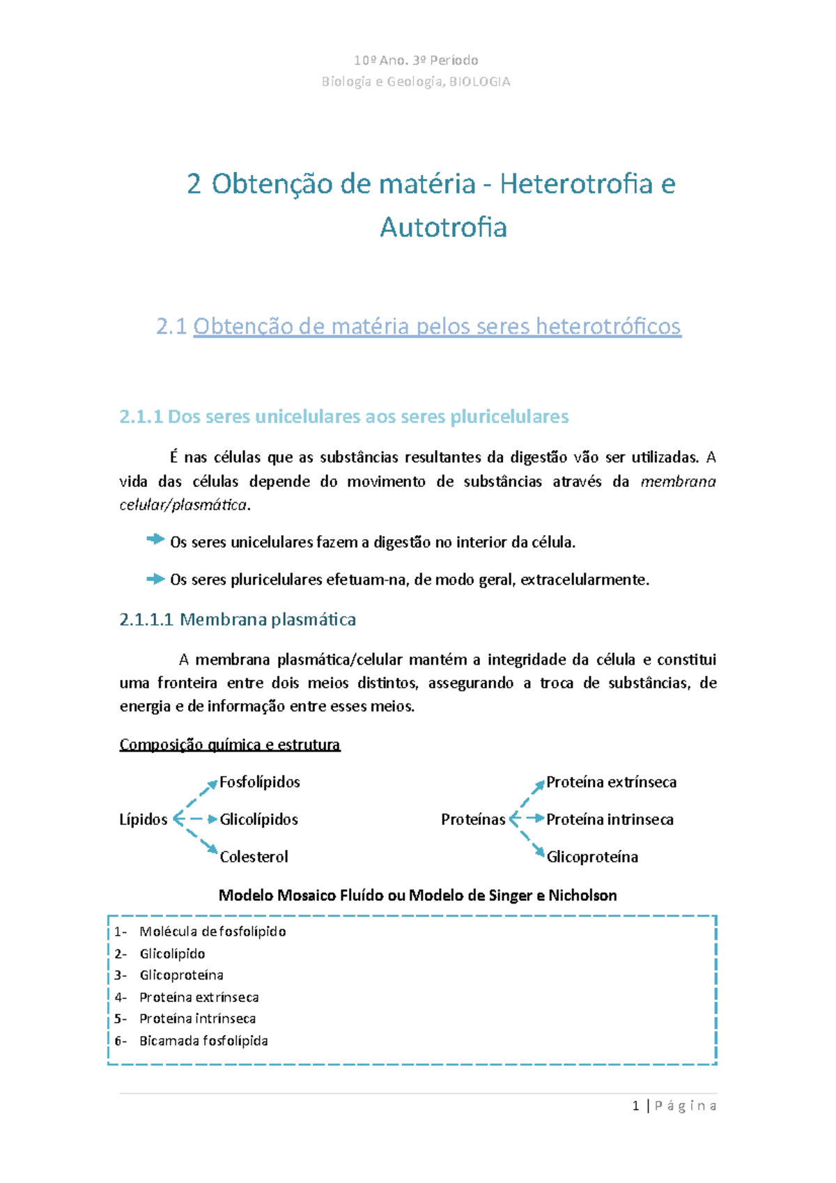 Obtencaodemateria - hg jghjgh - Biologia e Geologia, BIOLOGIA 2 ...