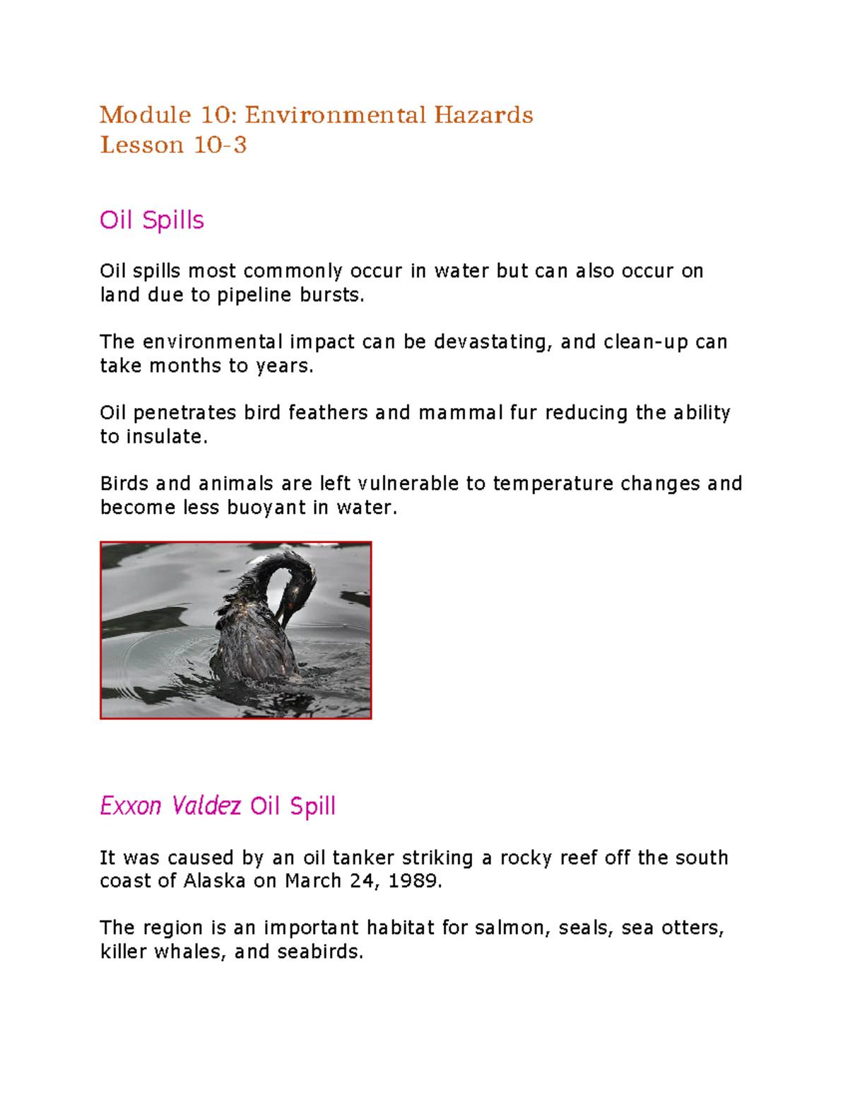 Lesson 10-3 - Module 10: Environmental Hazards Lesson 10- Oil Spills ...