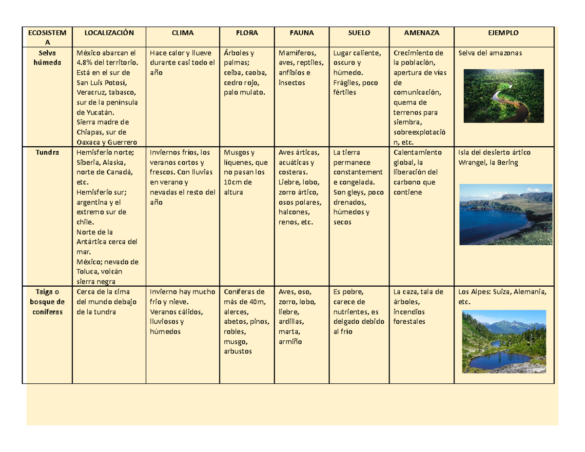 Ecologia - cuadro comparativo de los ecosistemas - ECOSISTEM A ...