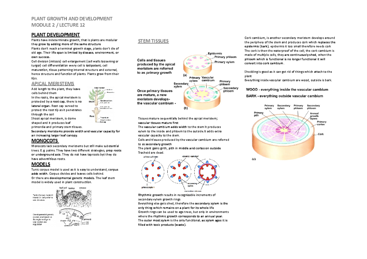 12. Plant Development, M2, L12 - PLANT GROWTH AND DEVELOPMENT MODULE 2 ...
