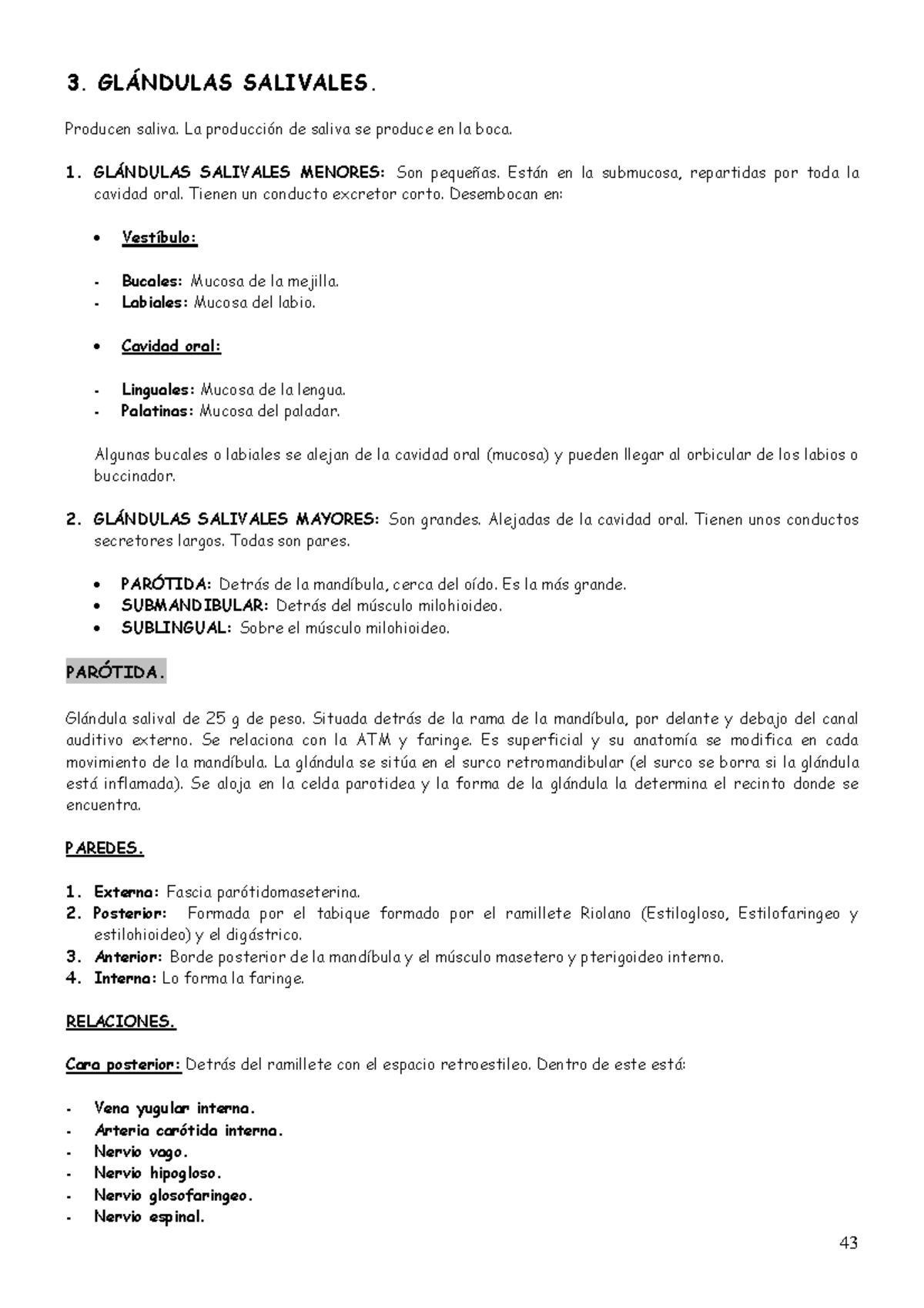 3 - MORFO - 3. GLÁNDULAS SALIVALES. Producen saliva. La producción de ...