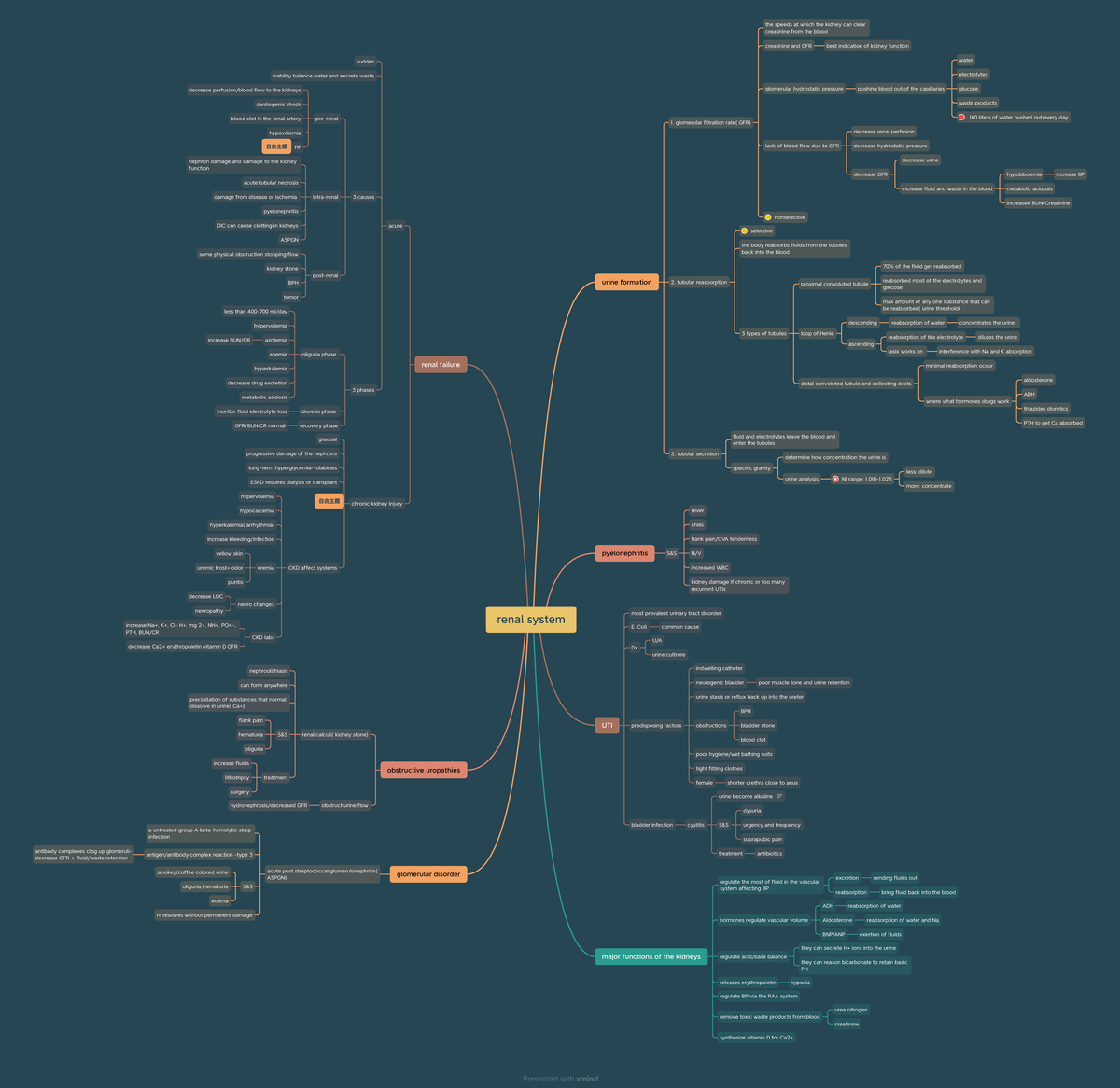 Renal system - pathophysiology notes summary - renal system urine ...
