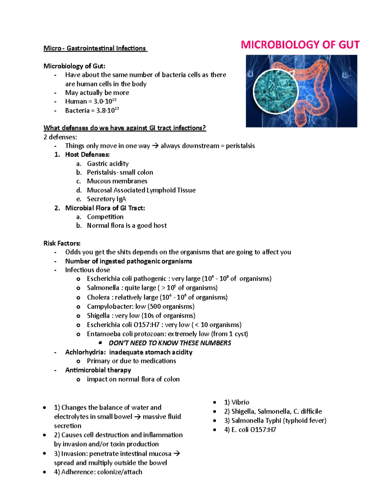 Lecture 8b - Gastrointestinal Infections - Micro - Gastrointestinal ...