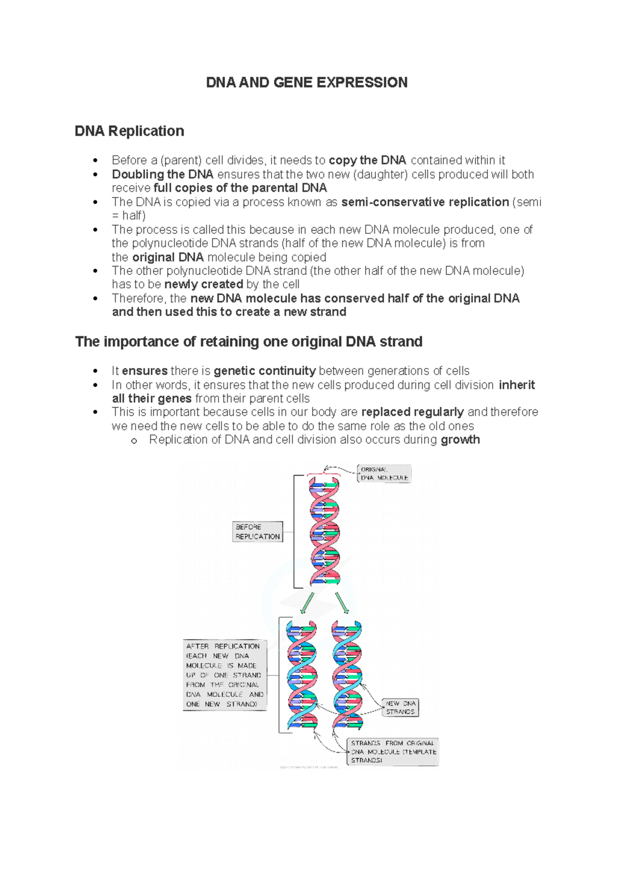 DNA AND GENE Expression - DNA AND GENE EXPRESSION DNA Replication ...