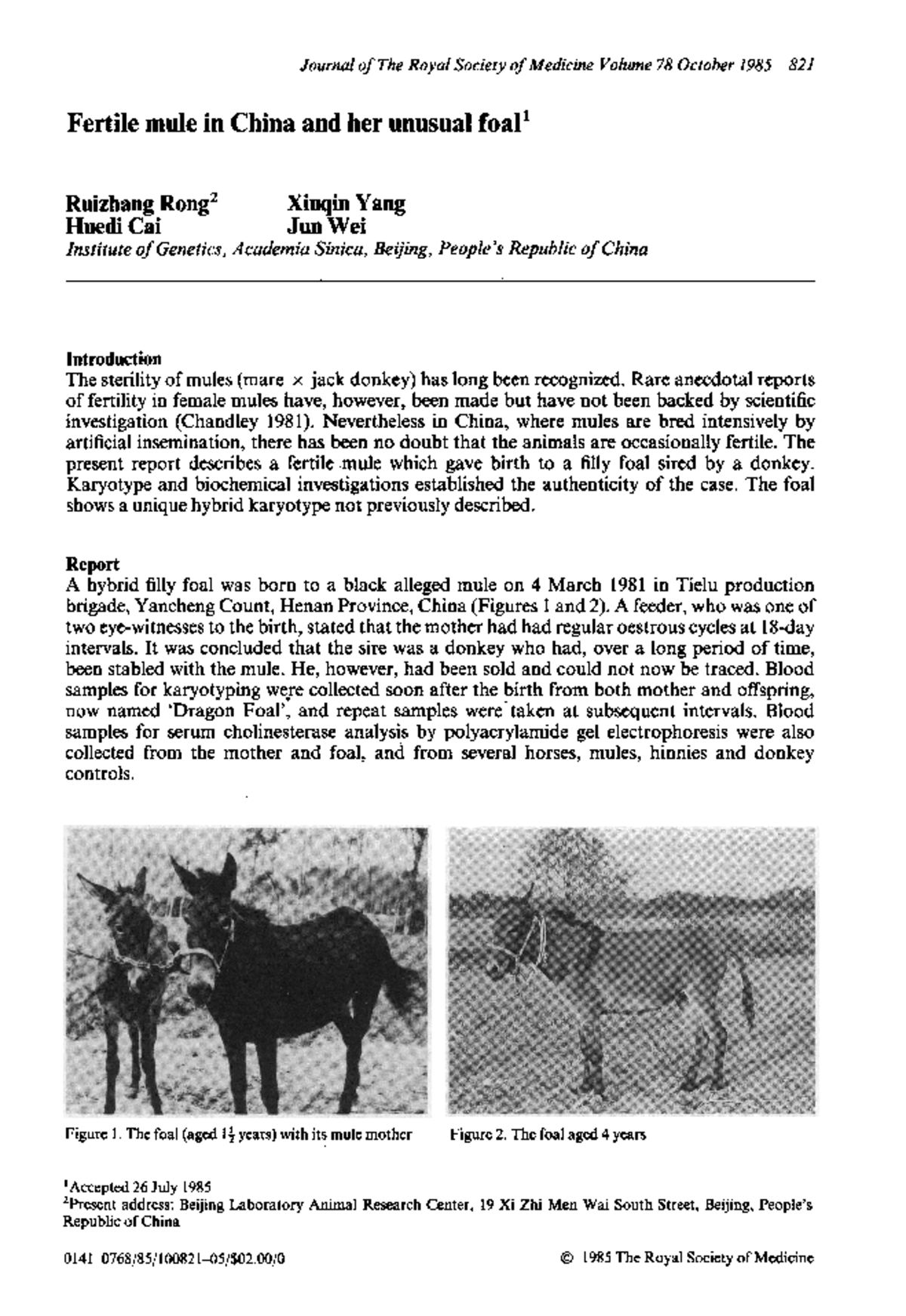 Rong et al 1985 fertile mule in china and her unusual foal - Fertile ...