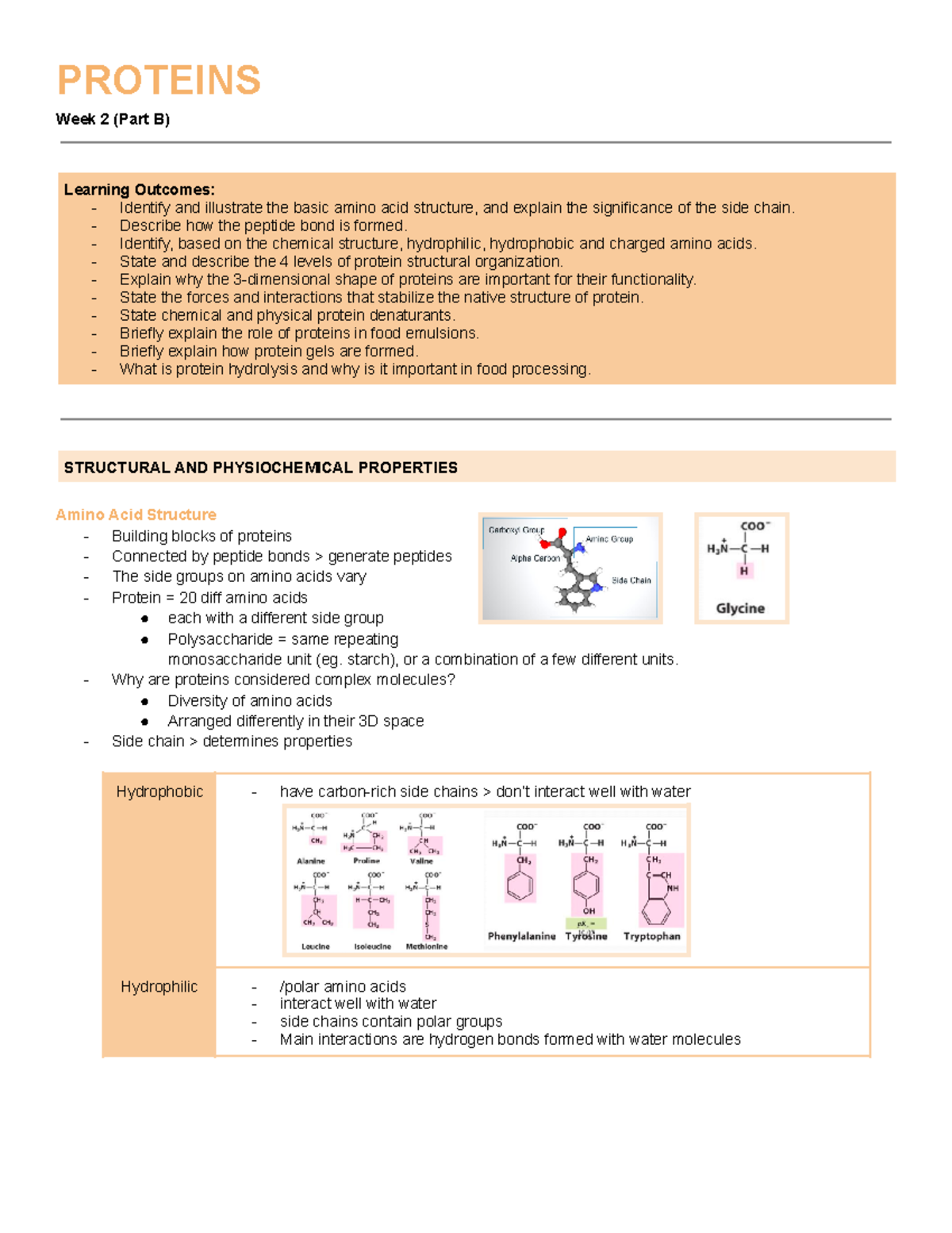 Week 2 part B - Week 2 part B - PROTEINS Week 2 (Part B) Learning Outcomes: - Identify and - Studocu
