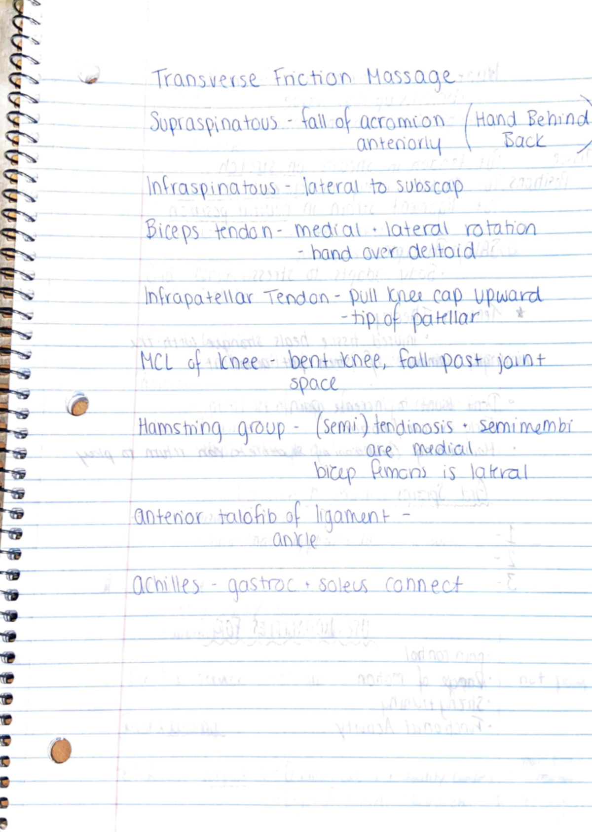 Transverse Friction Massage - f ~ - ~ - ~. ~ l f \ °' ) s.\J t { st t n ...