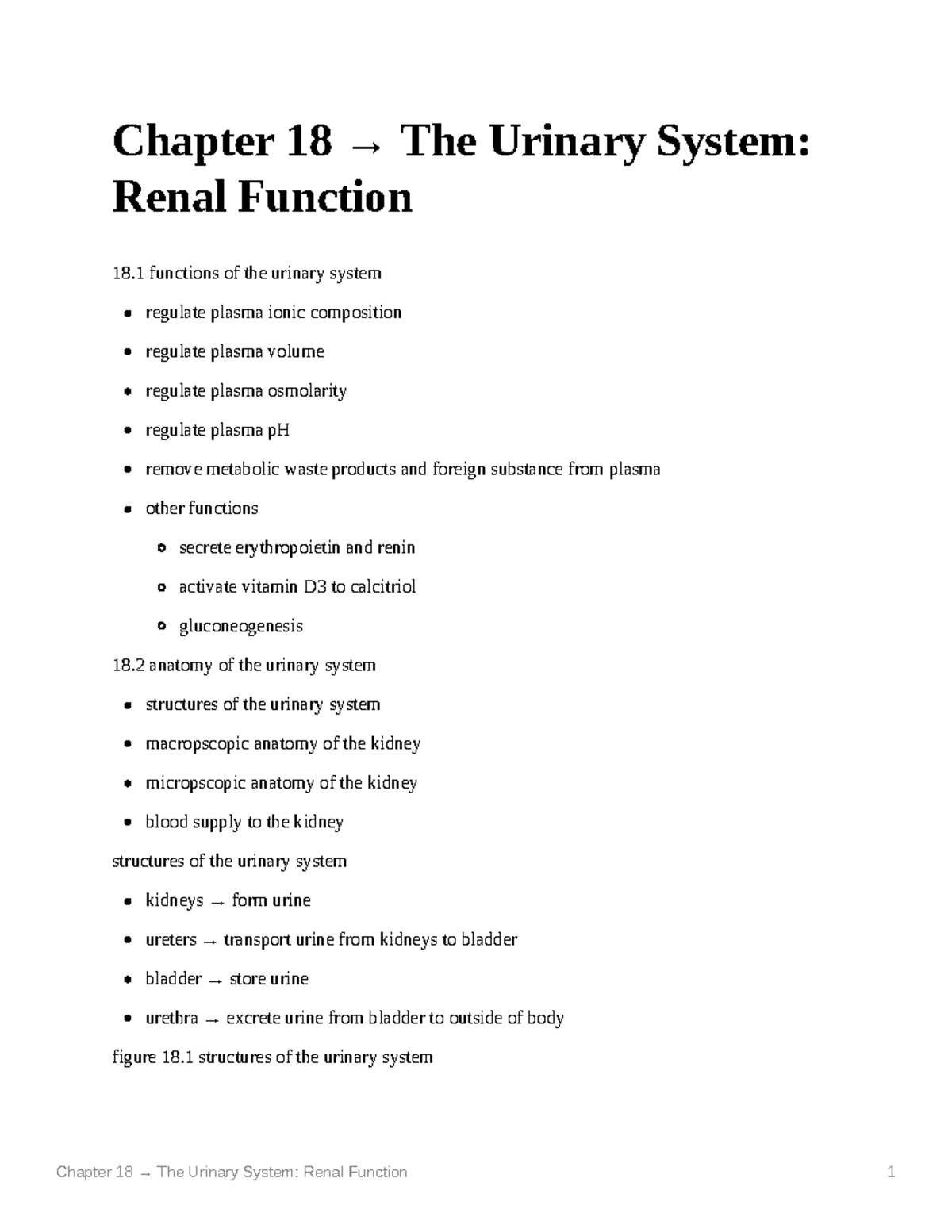 Chapter 18 The Urinary System Renal Function - Chapter 18 → The Urinary ...