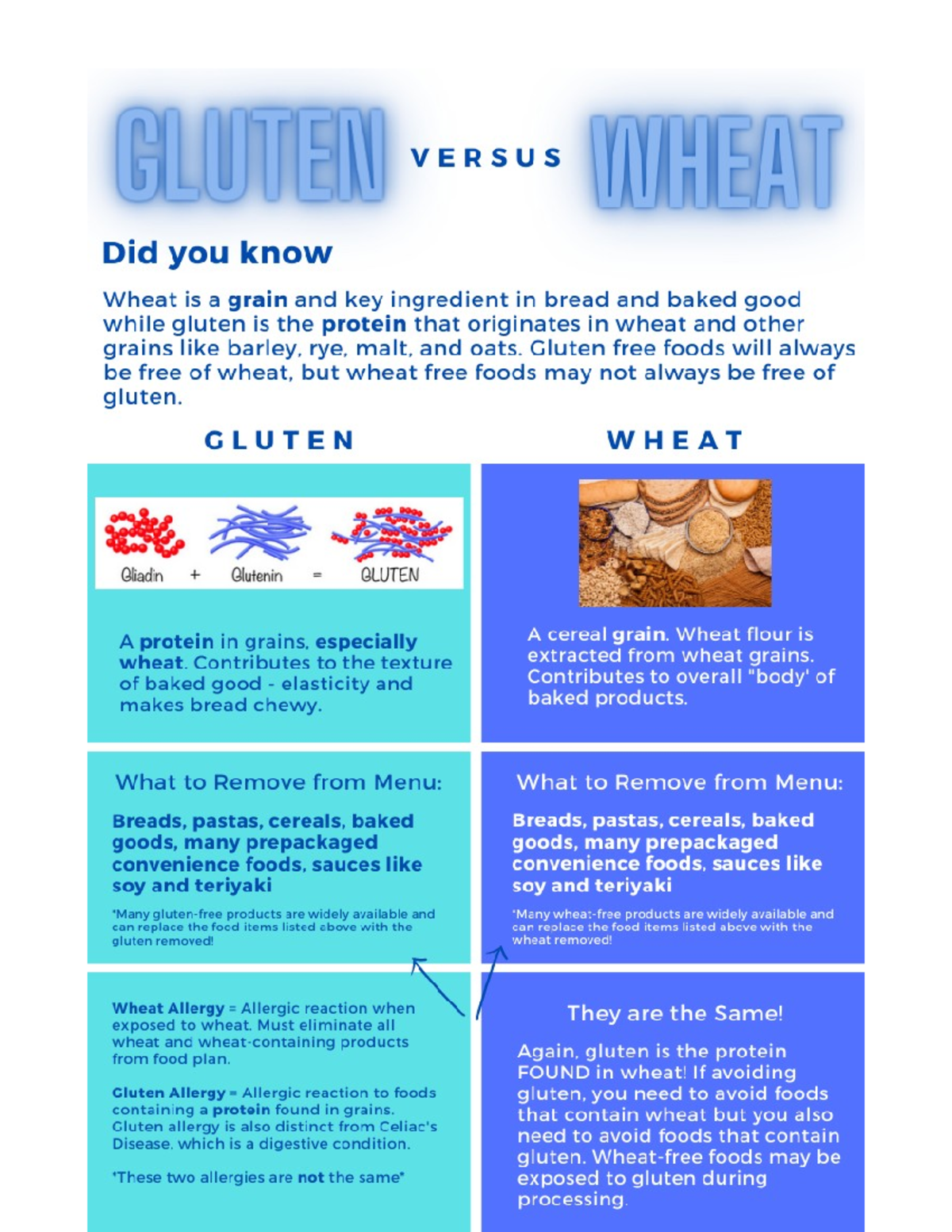Gluten and Wheat - Dr. Sullivan, MNT 414; this is an infographic I ...