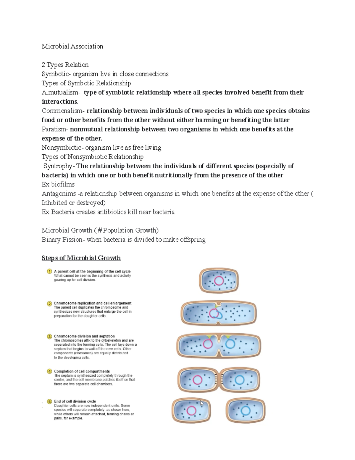 Microbial growth, association - Microbial Association 2 Types Relation ...