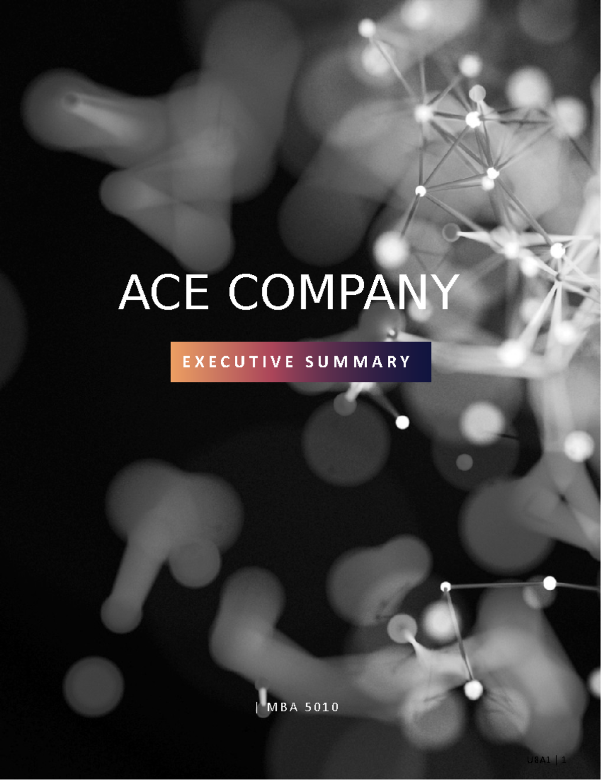 U8A1 Ace Co Exec Summary - ACE COMPANY E X E C U T I V E S U M M A R Y | M B A 5 0 1 0 P E R F O ...