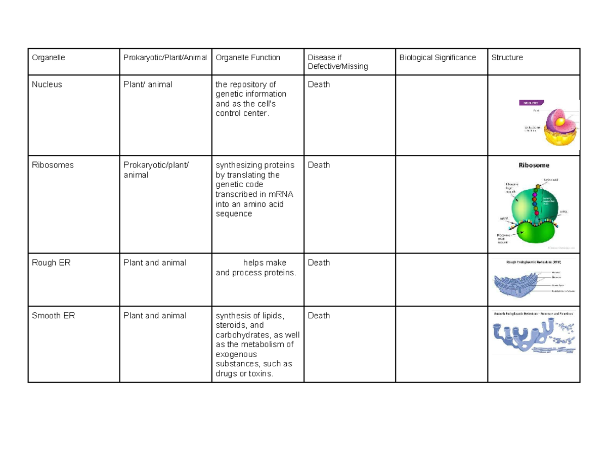 Organelle Chart and labeling cell parts - Organelle Prokaryotic/Plant ...