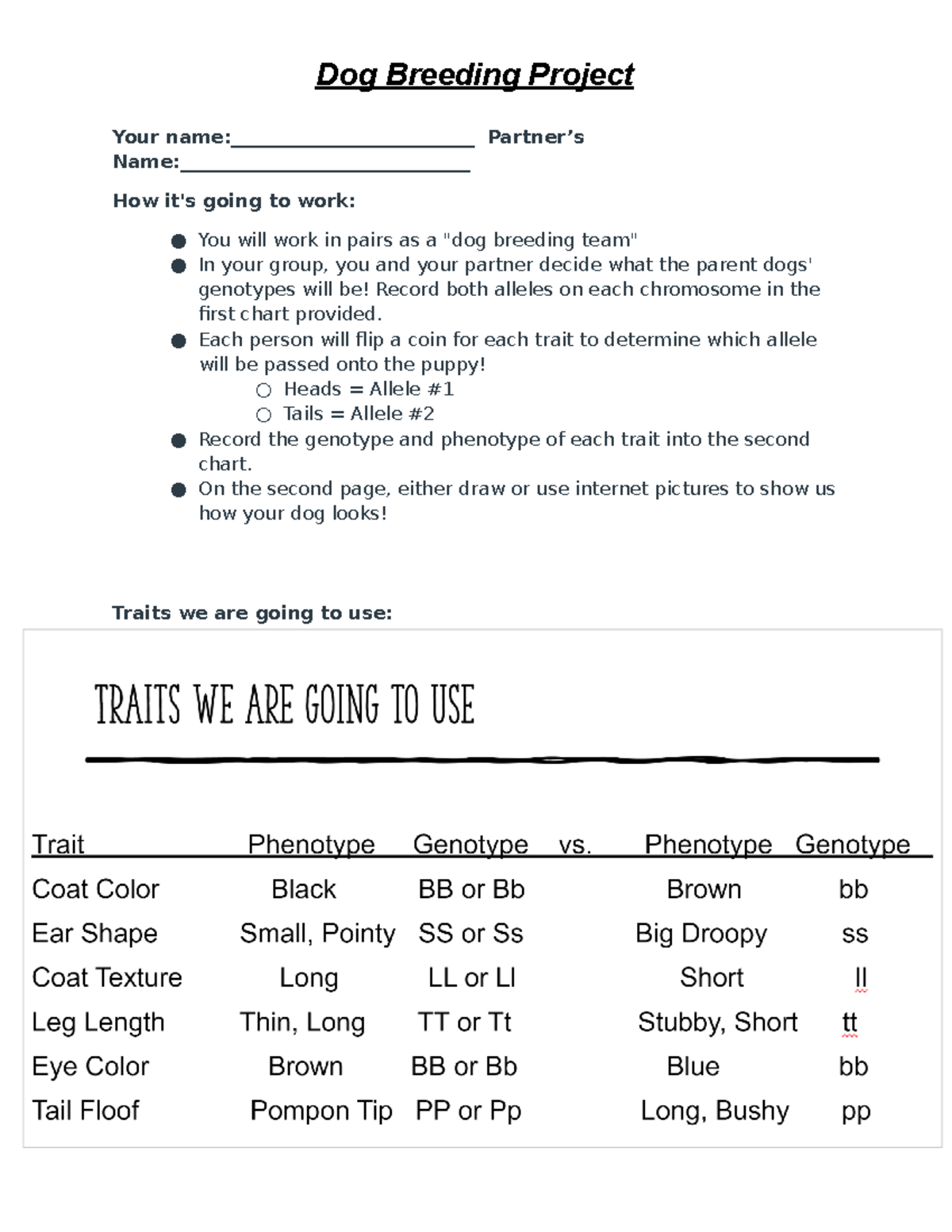 Dog Breeding Project-d29901 - Dog Breeding Project Your name ...