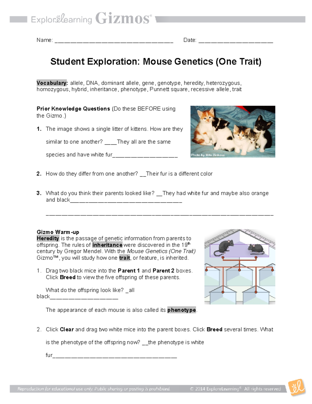 Mouse genetics one trait - Name ...