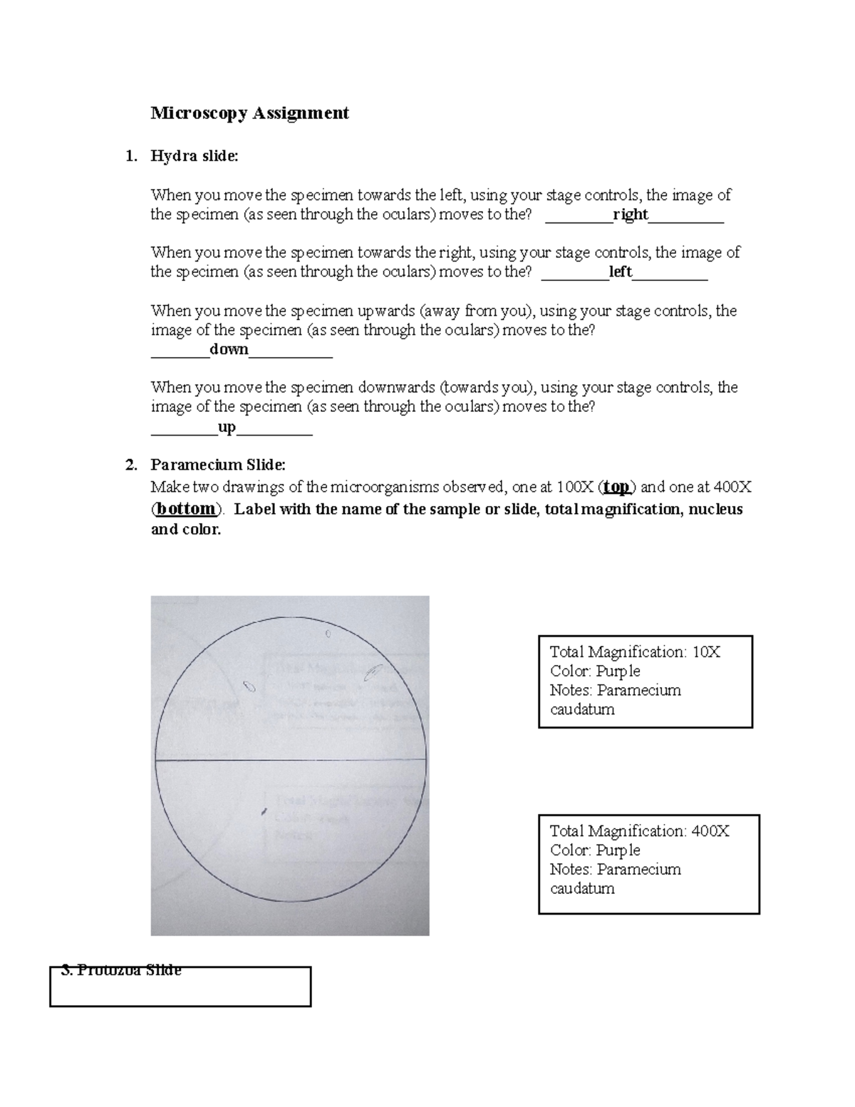 BIO 245 Lab One - Lab one - Microscopy Assignment Hydra slide: When you move the specimen ...