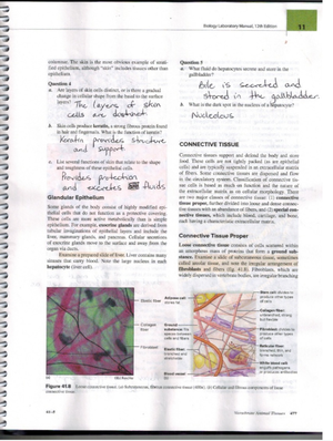 Chapter 2 Biology Notes - Biology II Lecture Notes Chapter 2: The ...