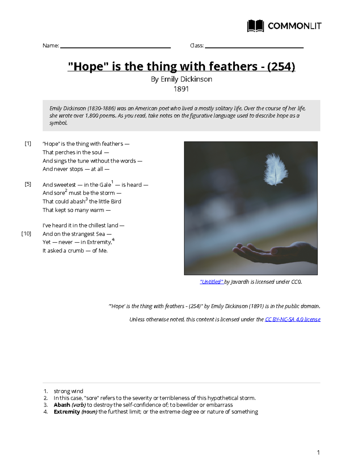 "Hope" is the thing with feathers - (254)-teacher-12 - Name: Class ...
