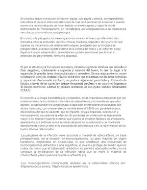 1.2 Puntos Craneometricos 2020 - Nasión Gnatión Prostión Nasoespinal ...